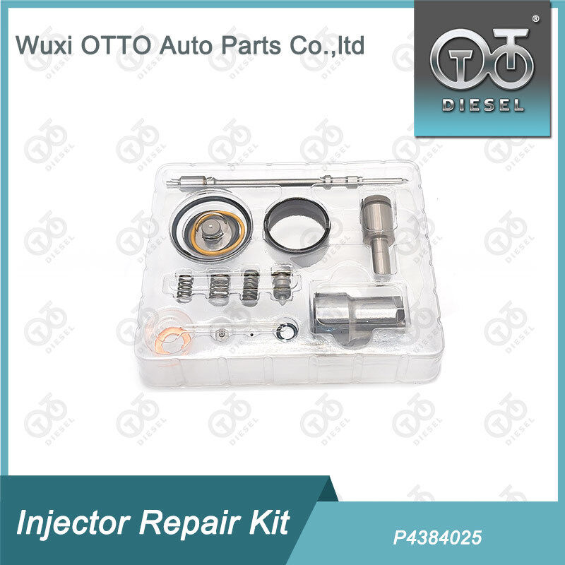 Common Rail Injector Repair Kit P4384025 Nozzle with Valve Seat Fuel ...