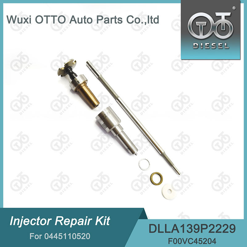 0445110520 Bosch Injector Repair Kit with Nozzle DLLA139P2229 And Valve ...
