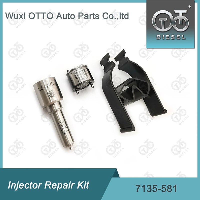 Delphi 7135-581 Nozzle-CVA Kit for R00101D PSA/FORD DW10C